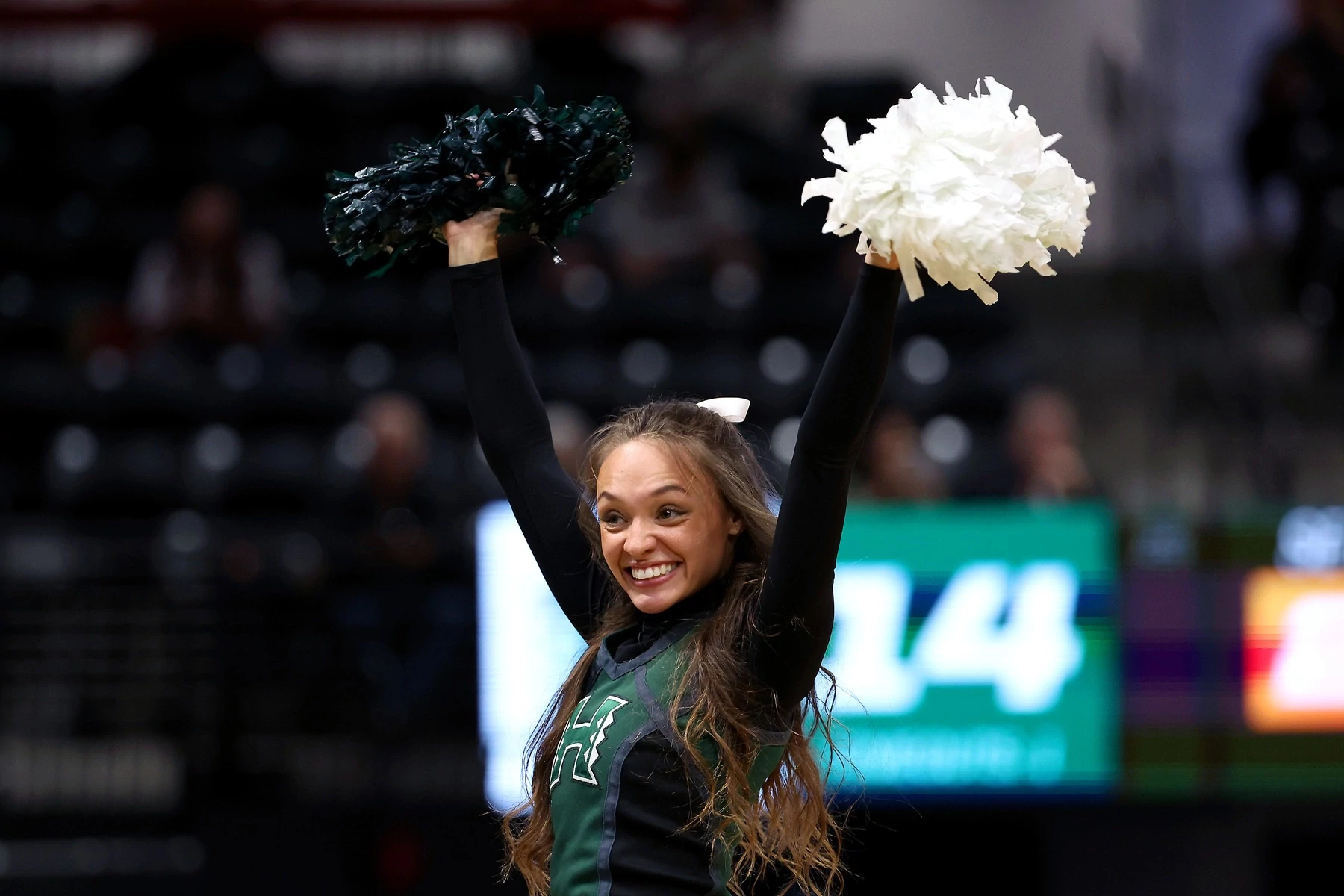 Hawaii Rainbow Warriors at UC Santa Barbara Gauchos, Picks and ...